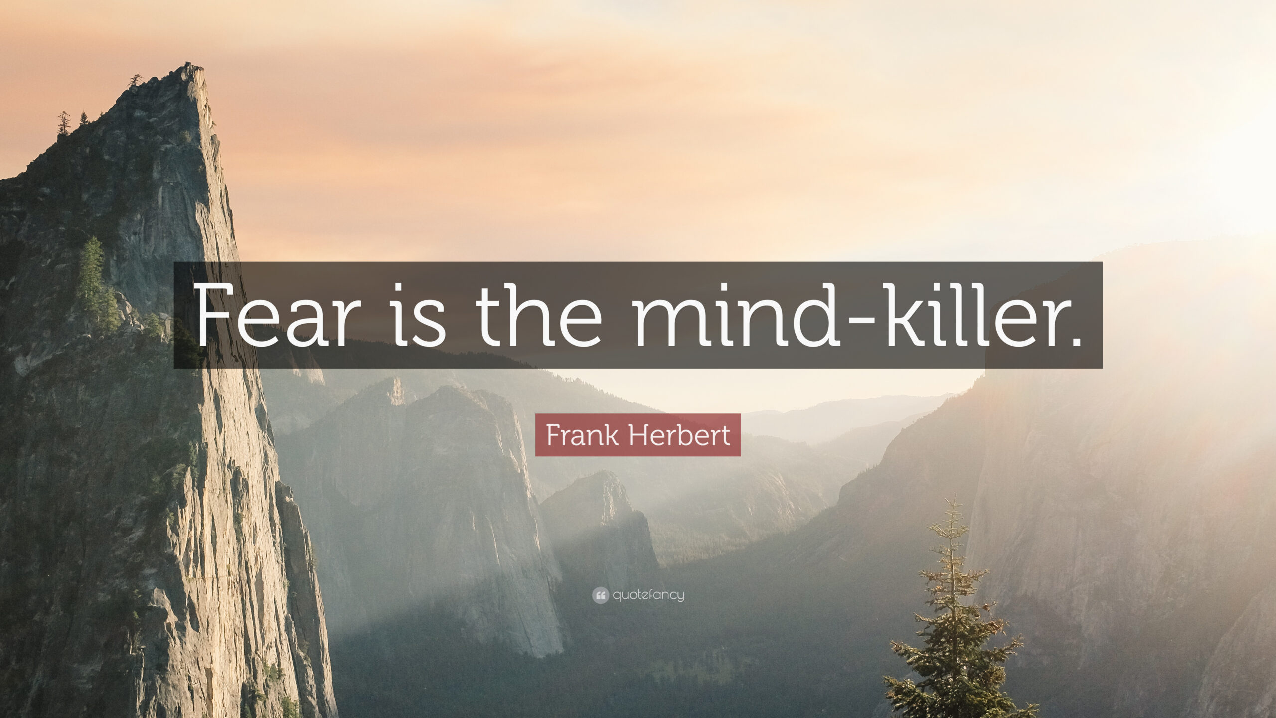 Is the mind-killer quote?