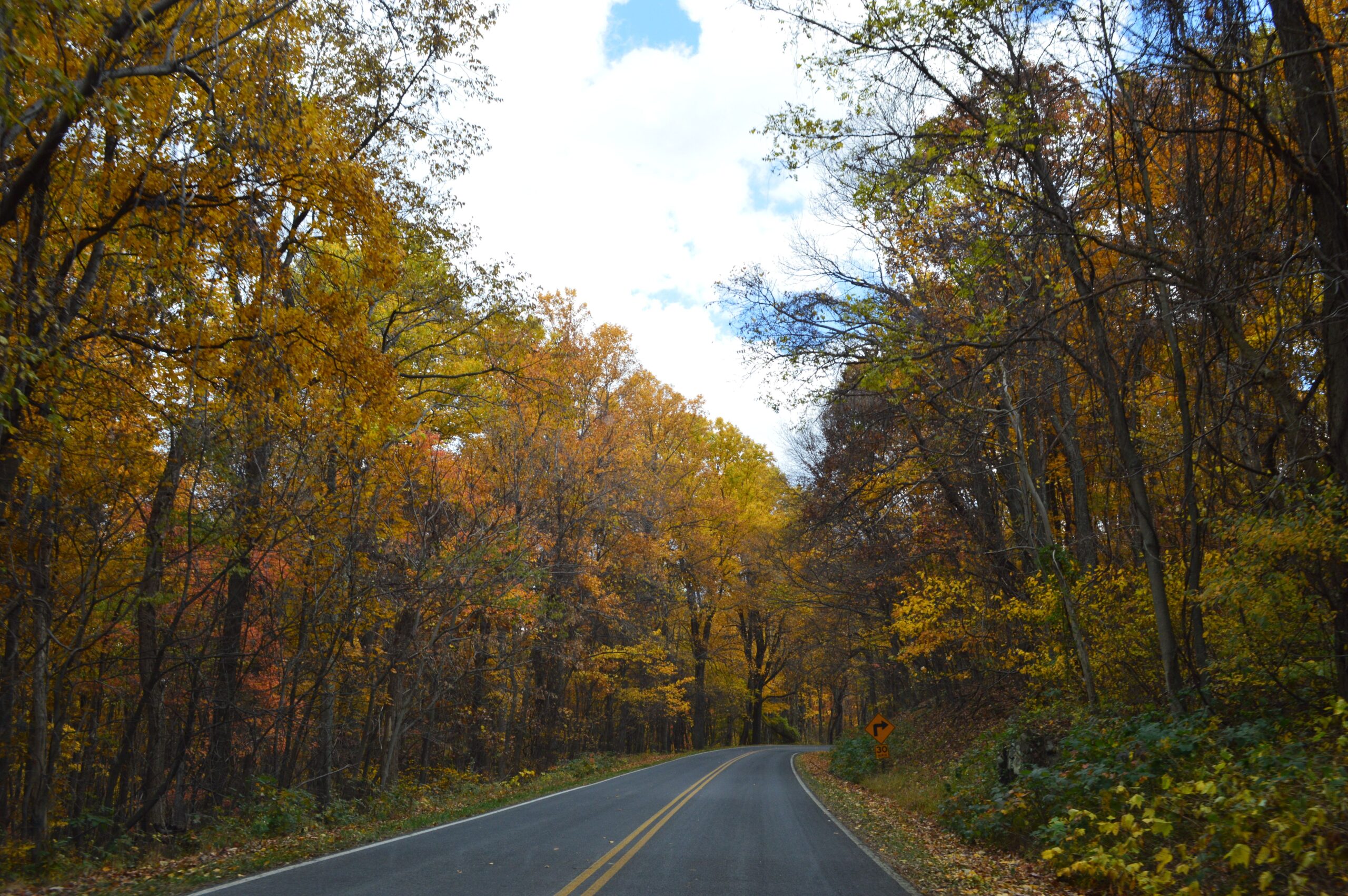 Was Country Roads written about Maryland?