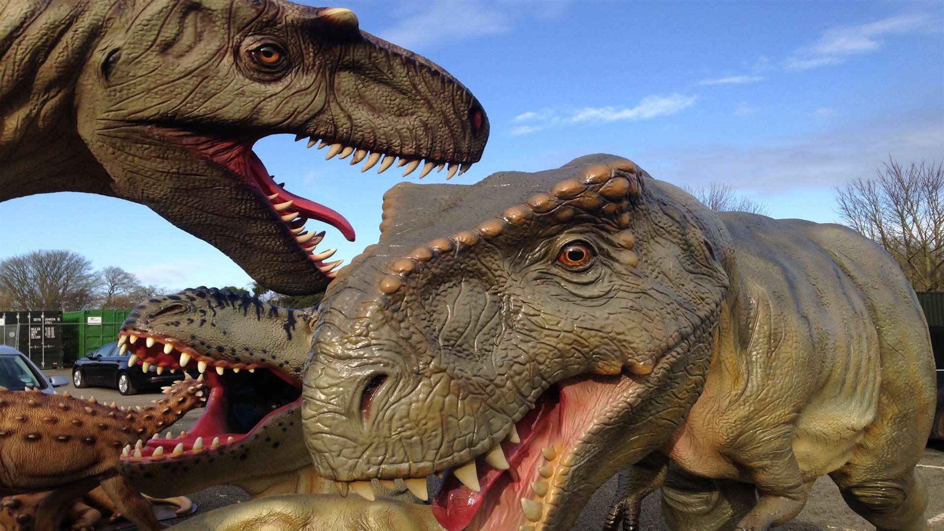 What happened to Dino Conner? – Famuse : #1 Models, Actors, Agencies ...