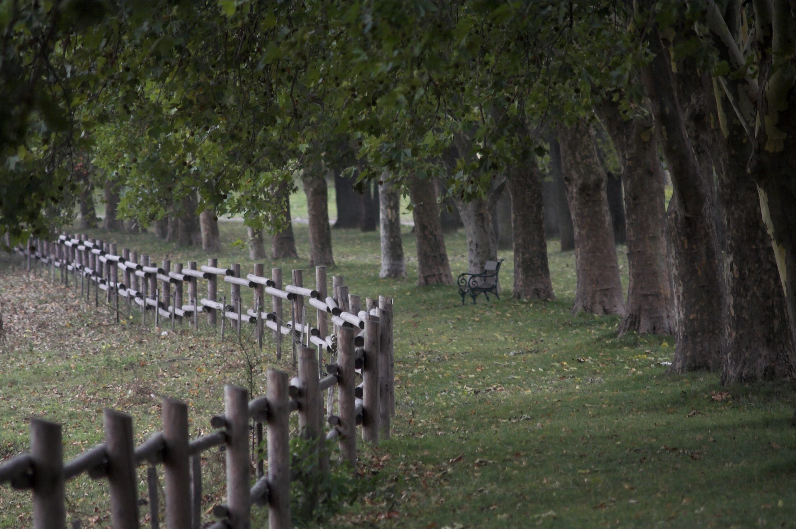 What is a healthy boundary?