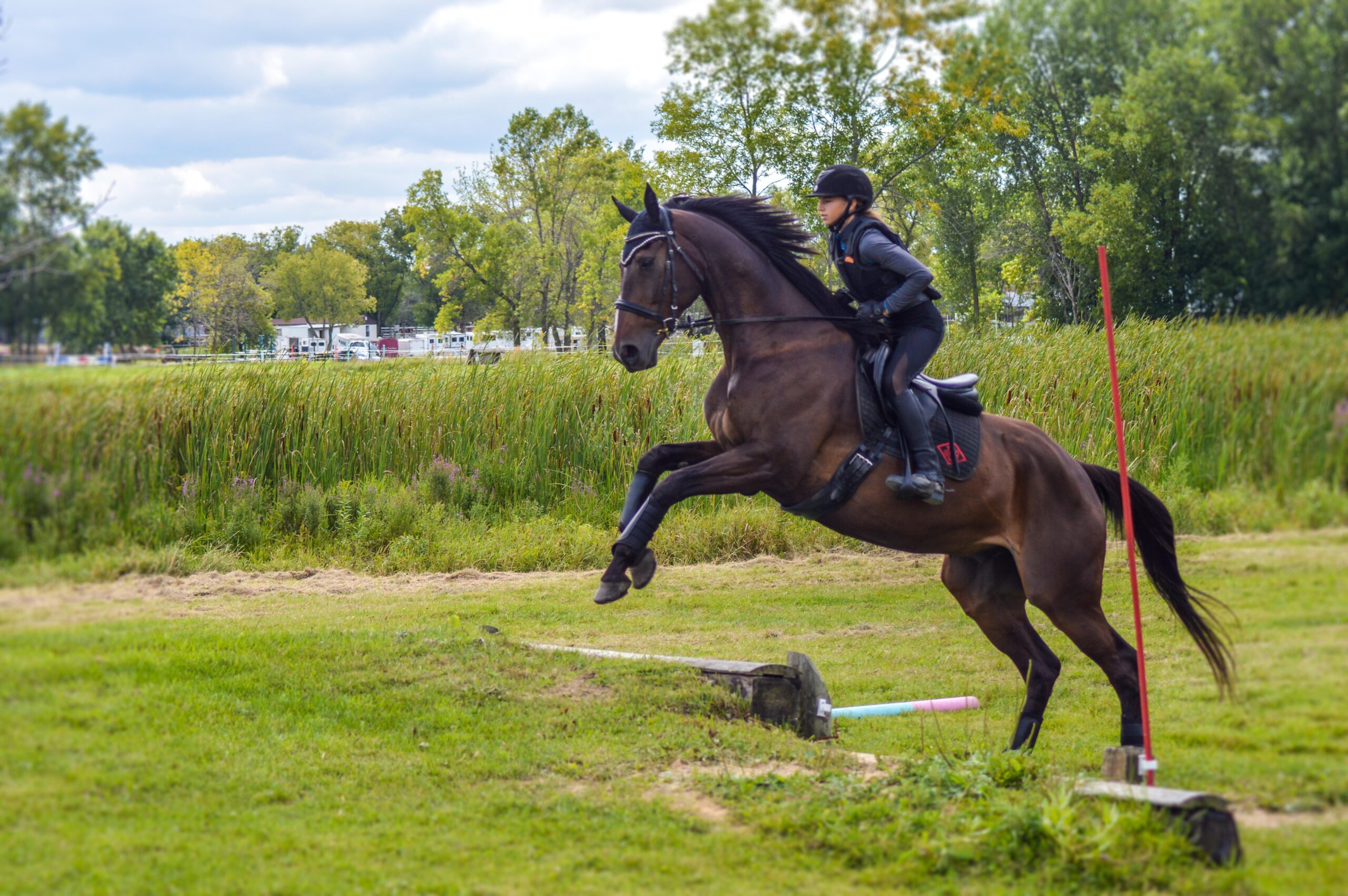 What is an Irish lad?