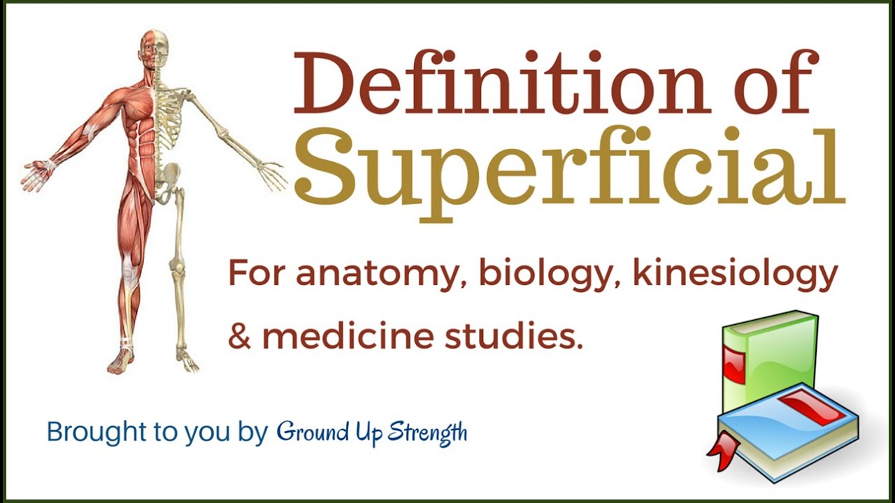 What is an example of superficial? – Famuse : #1 Models, Actors ...