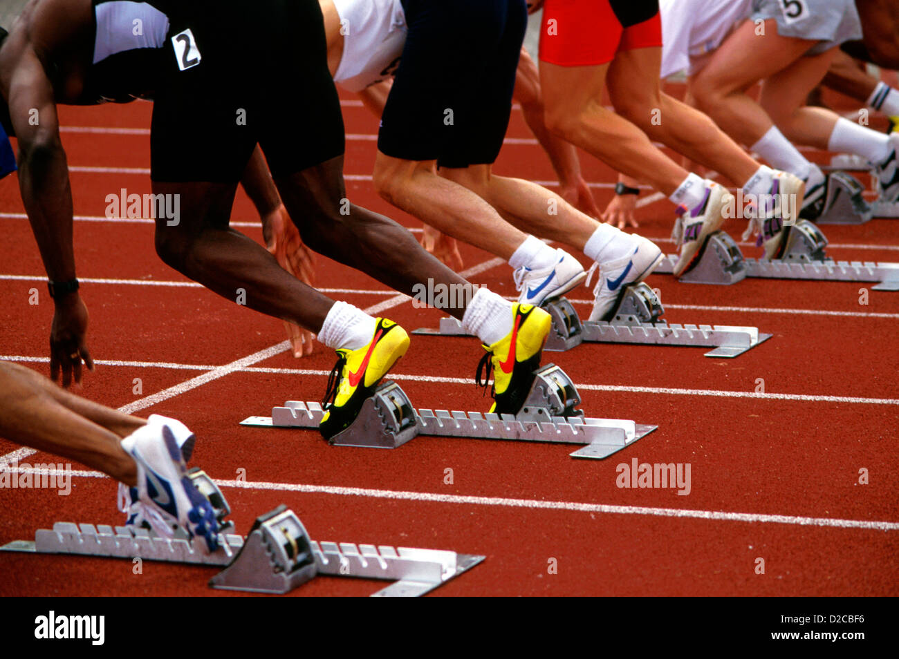 What is the starting line of a race called? – Famuse : #1 Models ...
