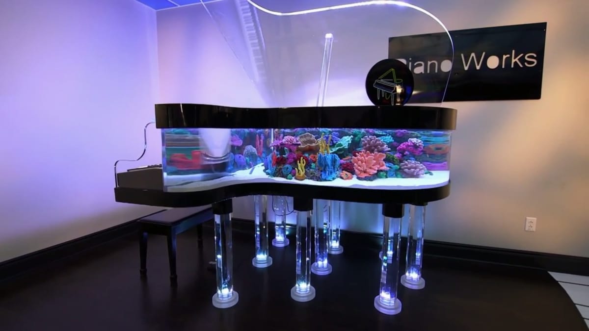 Who Died From Tanked Who Died From Tanked