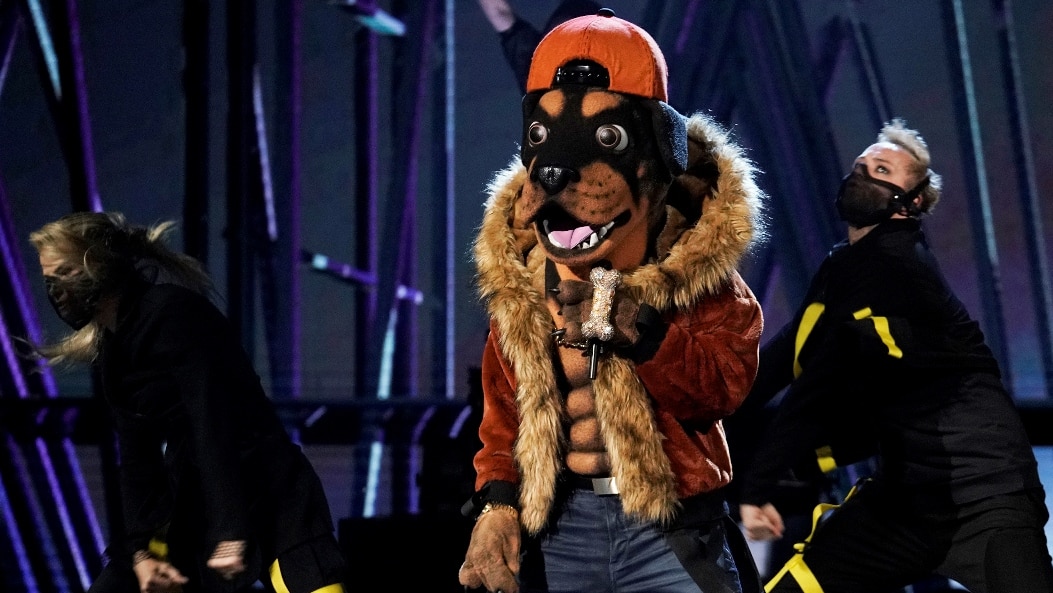 Who’s the Rottweiler on Masked Singer? – Famuse : #1 Models, Actors ...