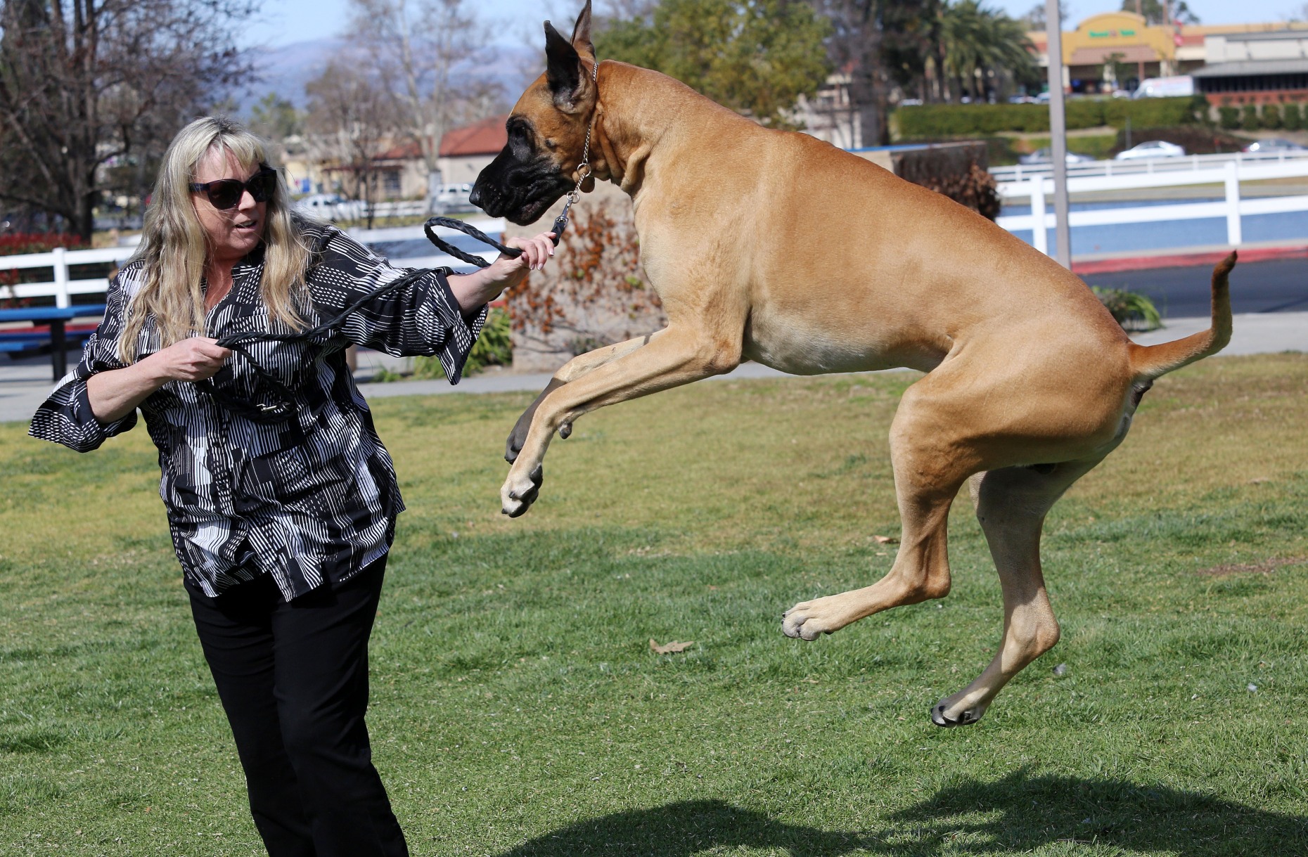 Why did Sagat let Dan win? – Famuse : #1 Models, Actors, Agencies ...