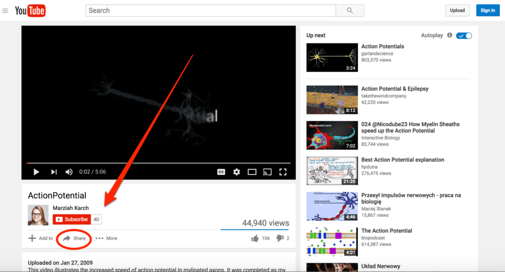 How Do You Embed A Link 