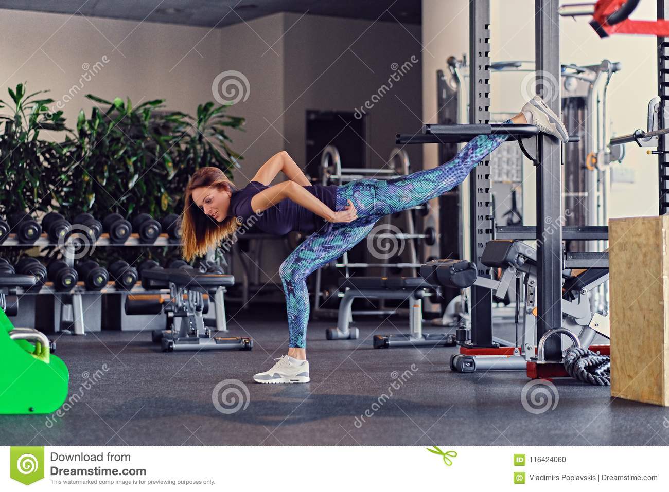 How tall are fitness models? – Famuse : #1 Models, Actors, Agencies ...