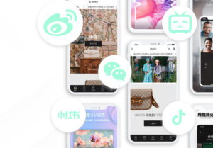 What is KOL mapping?