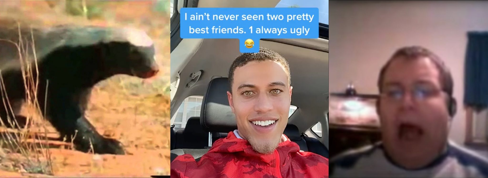 What is an OG meme? – Famuse : #1 Models, Actors, Agencies ...